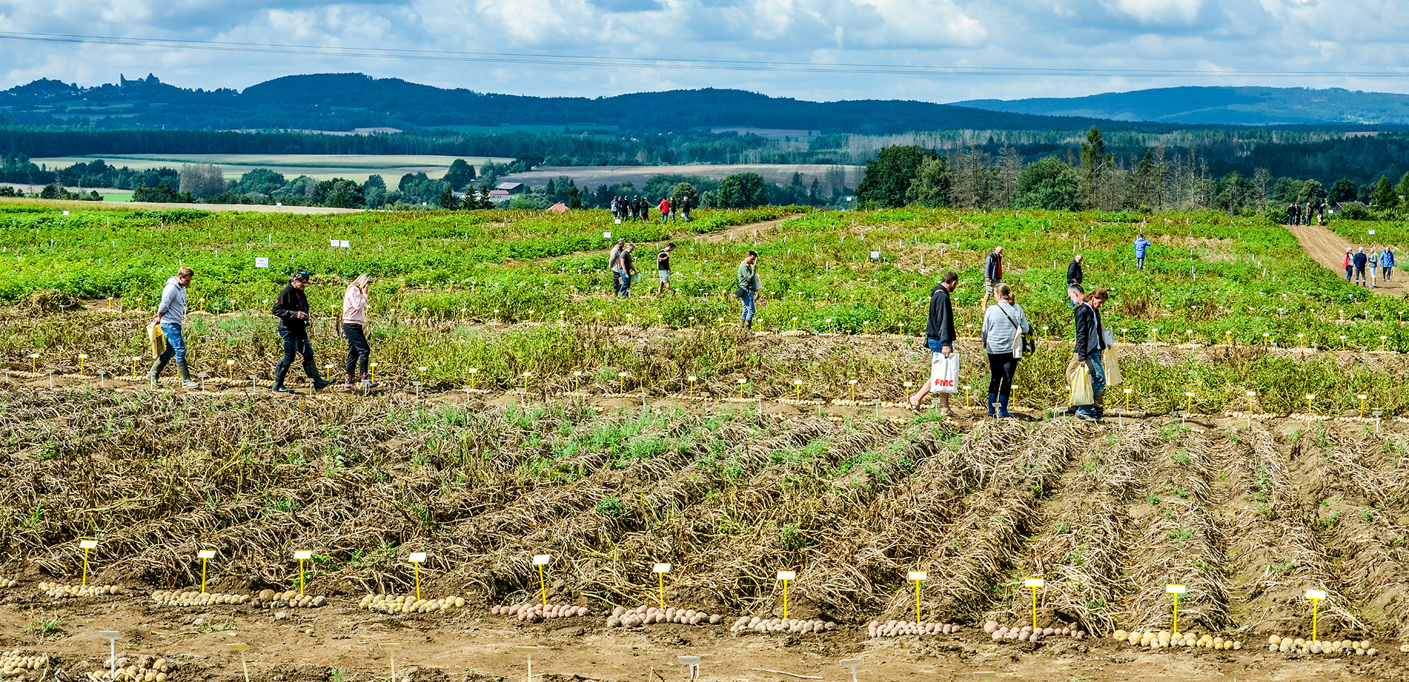 Další úspěšný ročník workshopu a polního dne ve výzkumné stanici VÚB ve ...